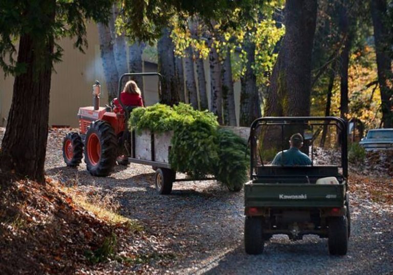 Farms & Ranches - Visit El Dorado